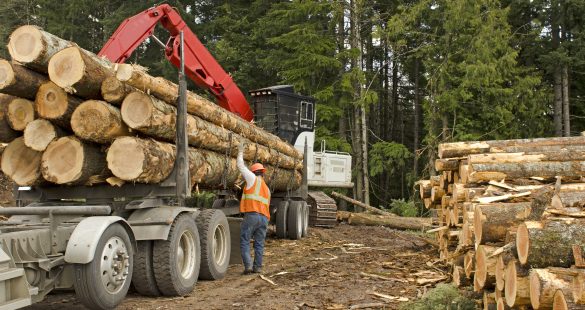 Introduction to Forestry & Natural Resources | eDynamic Learning Introduction to Forestry & Natural Resources | eDynamic Learning