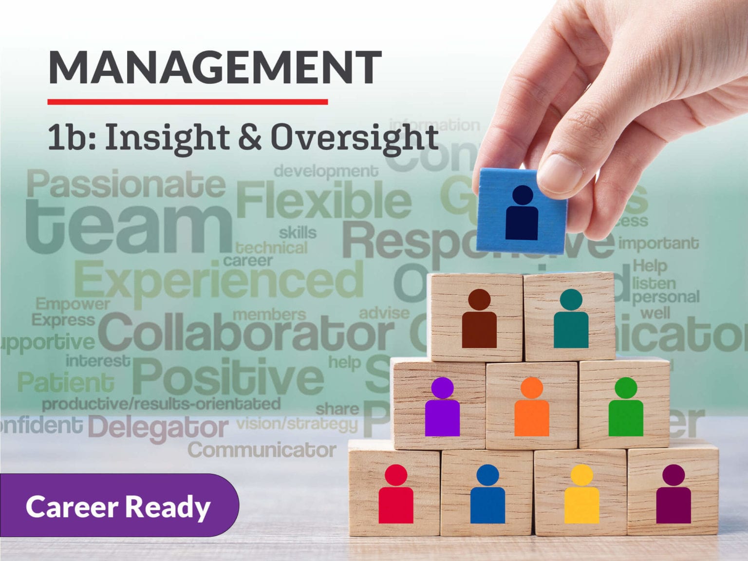 Management 1b: Insight & Oversight - eDynamic Learning