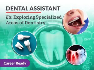 Dental Assistant 2b: Exploring Specialized Areas of Dentistry ...